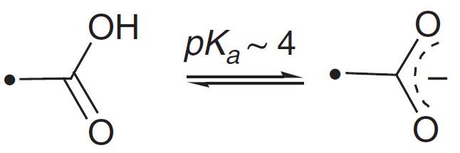 Introduction of Enzyme Chemistry – Creative Enzymes Blog