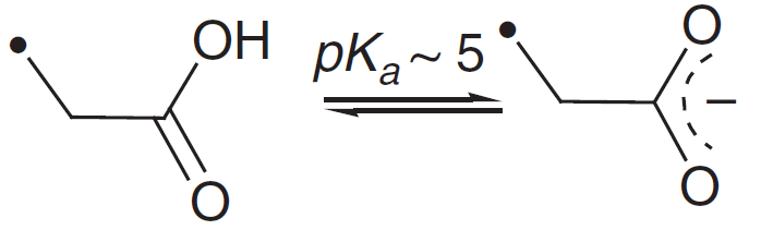 Introduction of Enzyme Chemistry – Creative Enzymes Blog
