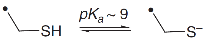 Introduction of Enzyme Chemistry – Creative Enzymes Blog