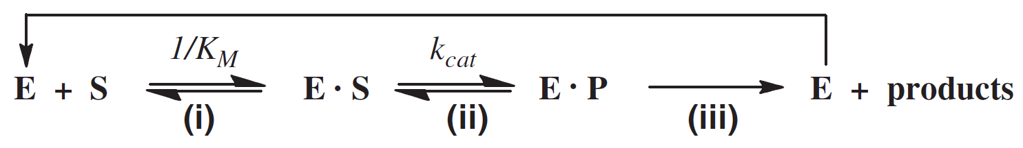 Principles of Enzyme Catalysis – Creative Enzymes Blog